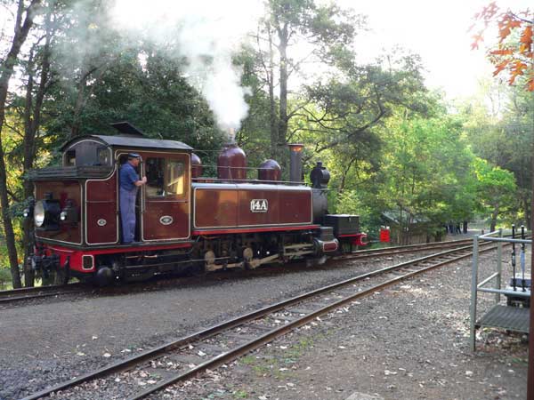 Pugffing billy Steam Train Melbourne 2005